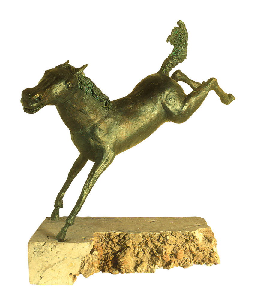 Cavallo - Museo Omero